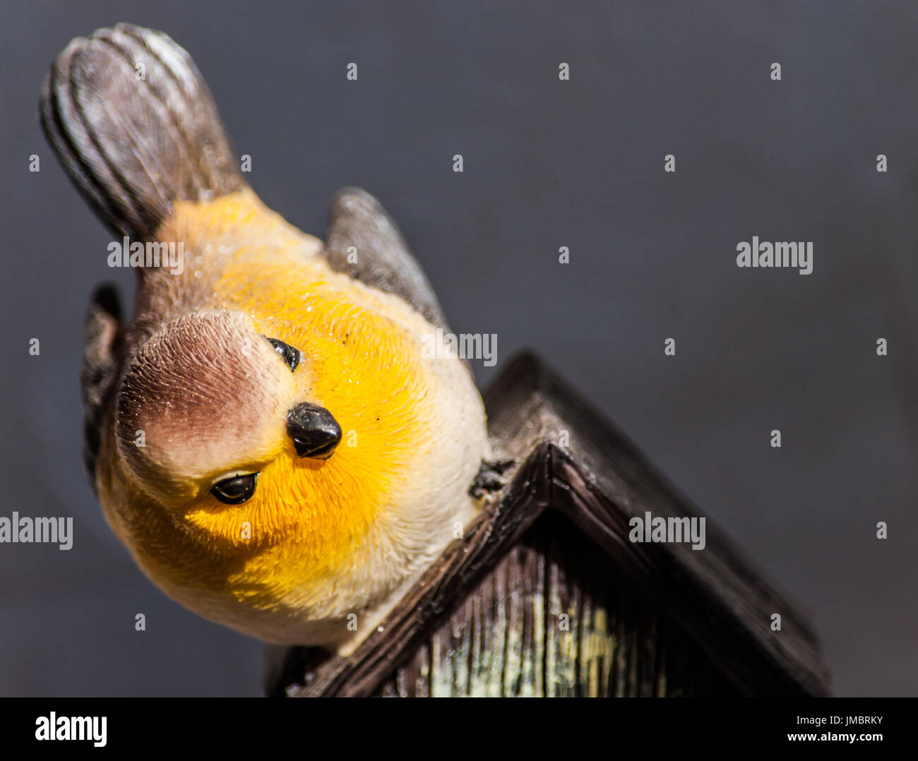A yellow birdie Stock Photo - Alamy