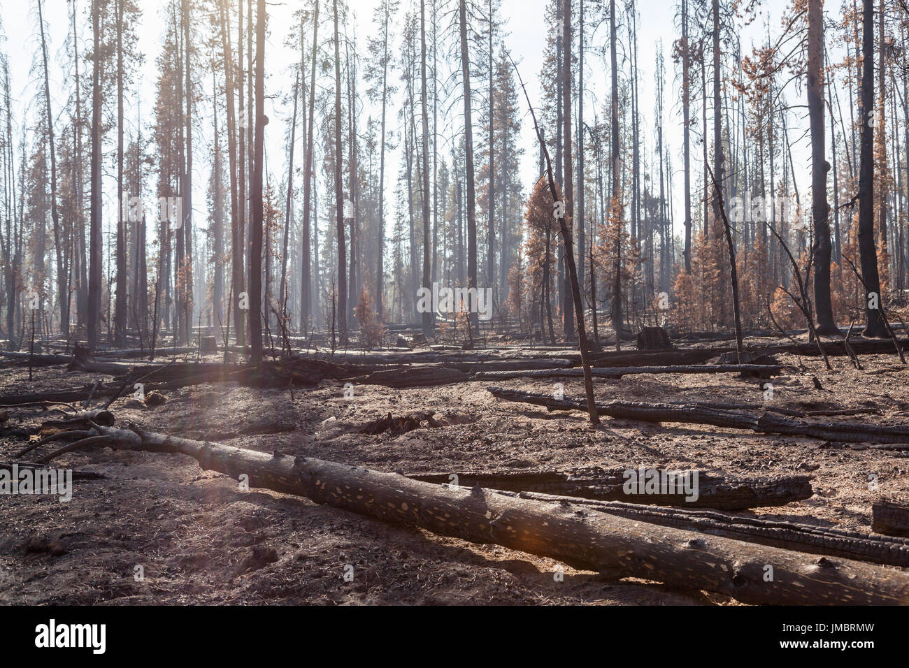 Lodge complex fire hi-res stock photography and images - Alamy