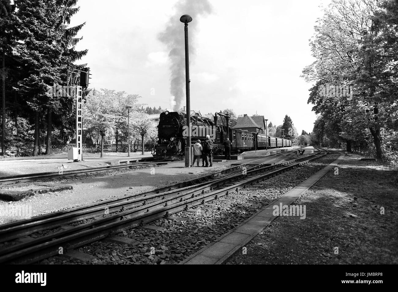 99 7238-1 at Drei Annen Hohne with the 09:42 Wernigerode - Brocken ...
