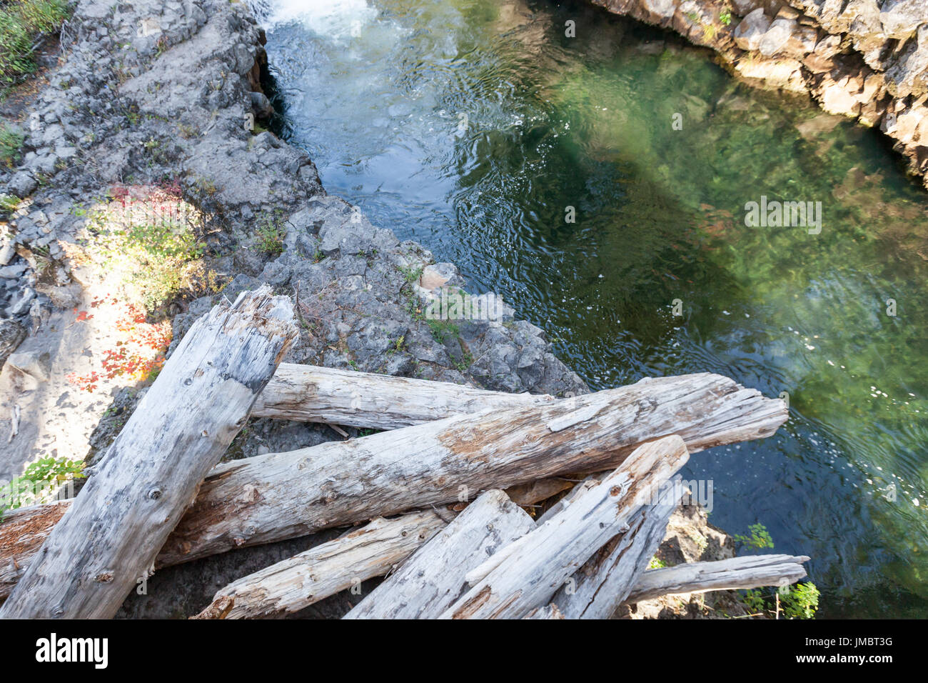 Logs that have been stripped hi-res stock photography and images - Alamy