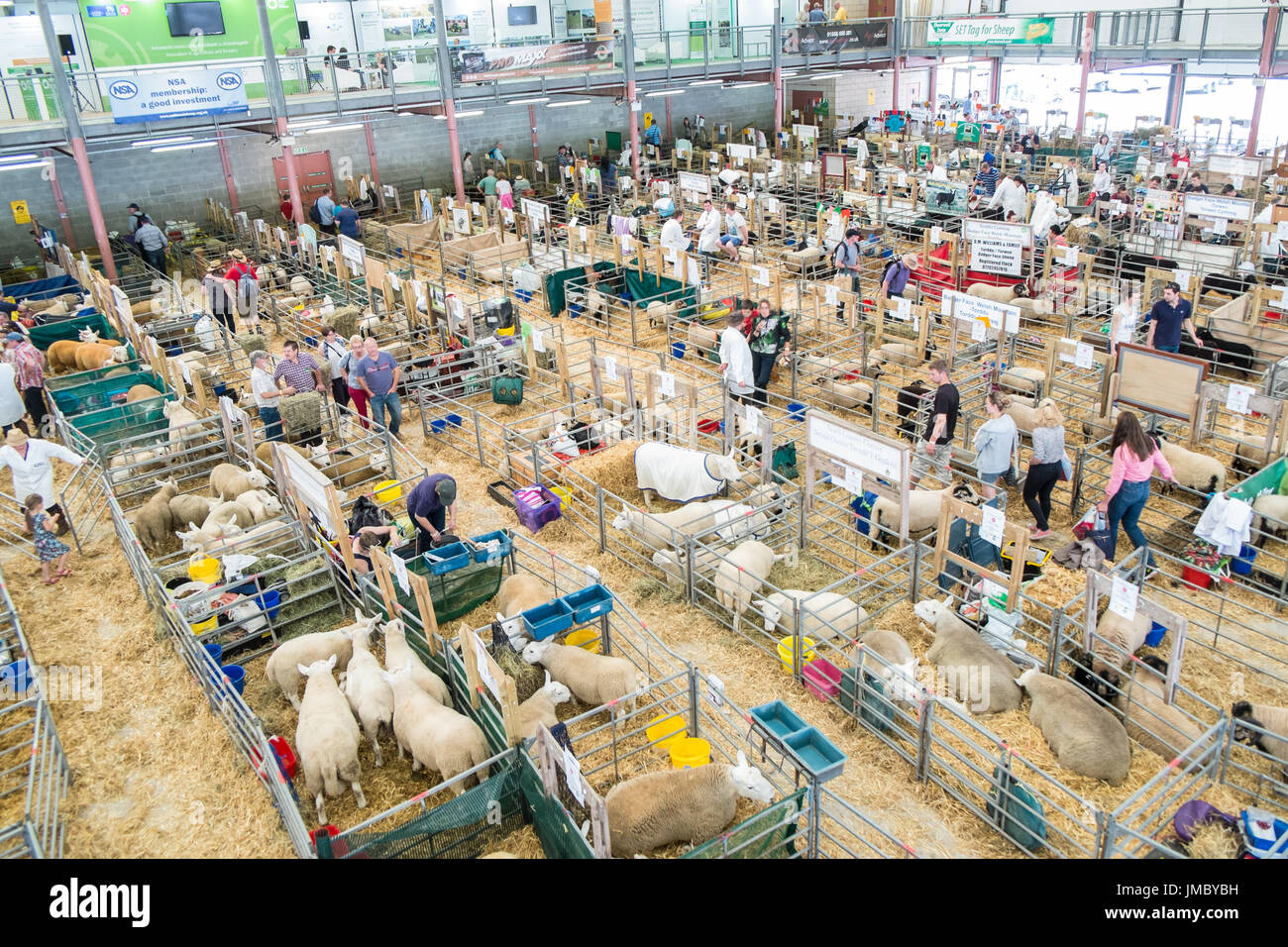 Royal Welsh Agricultural Show,held,annually,at, Royal Welsh Showground ...