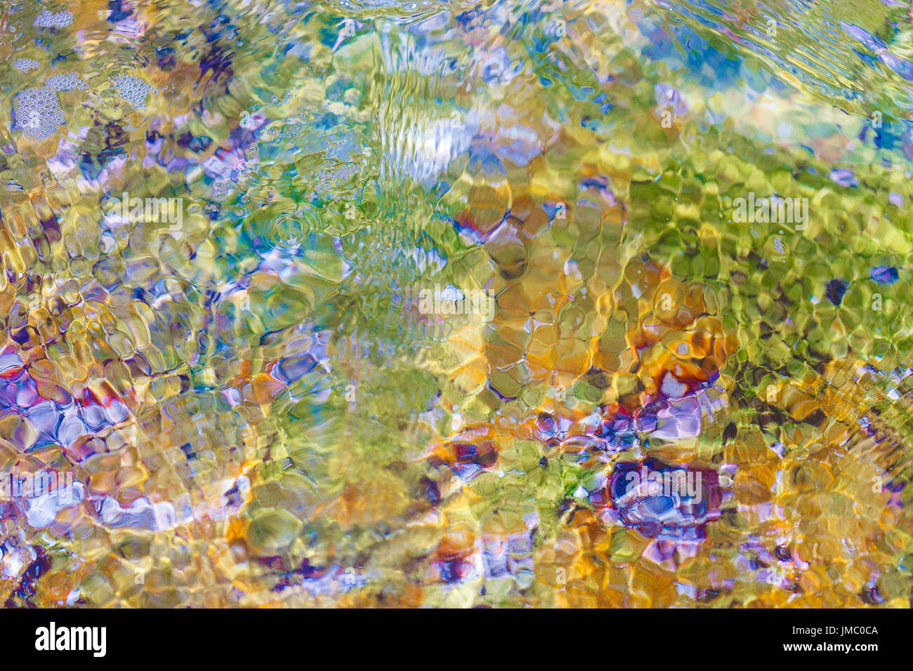 Sunny abstract green nature background, selective focus Stock Photo - Alamy