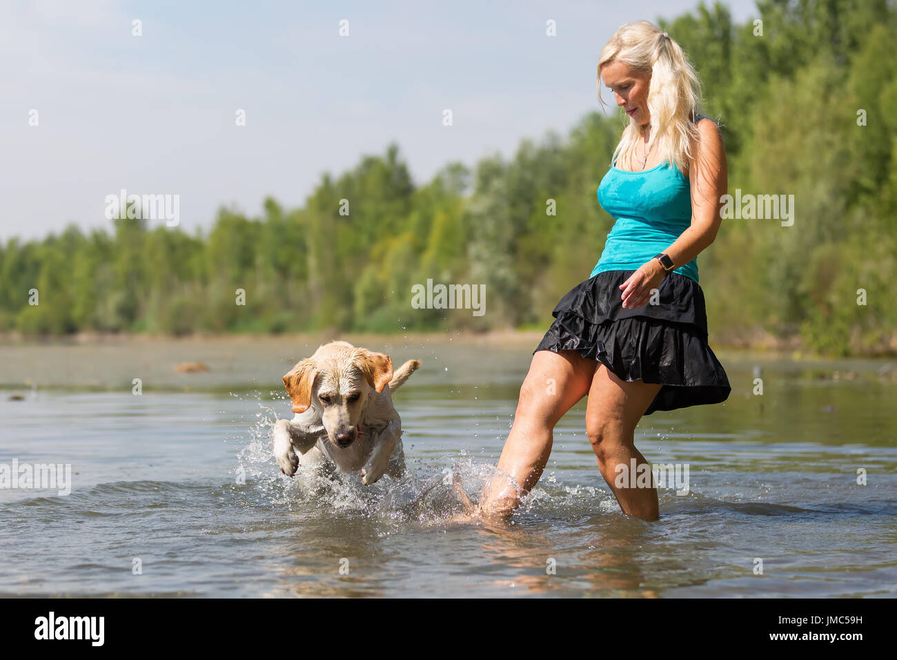 mature woman plays with a labrador retriever in the lake Stock Photo ...