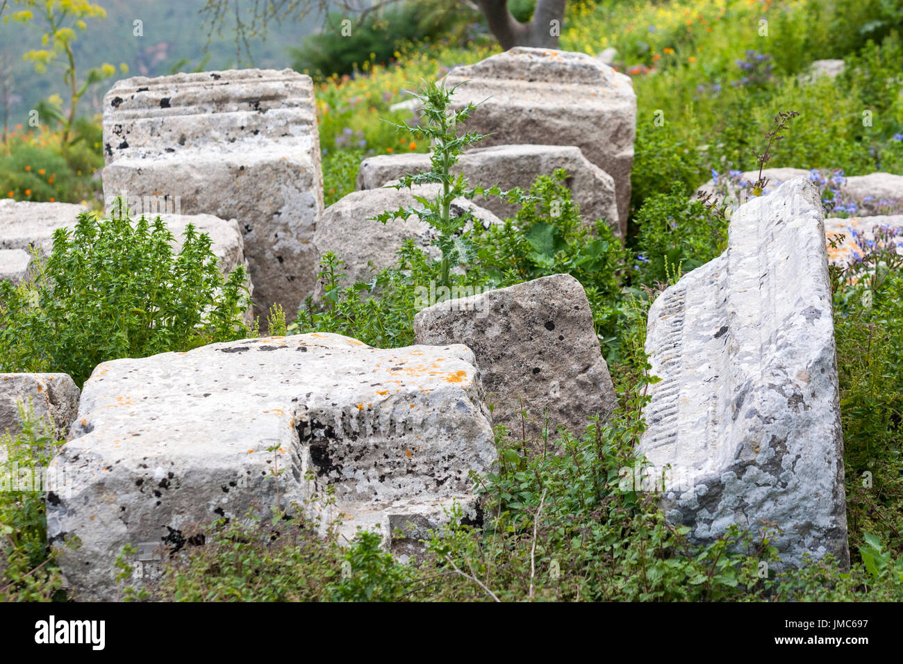 Greek grass hi-res stock photography and images - Alamy