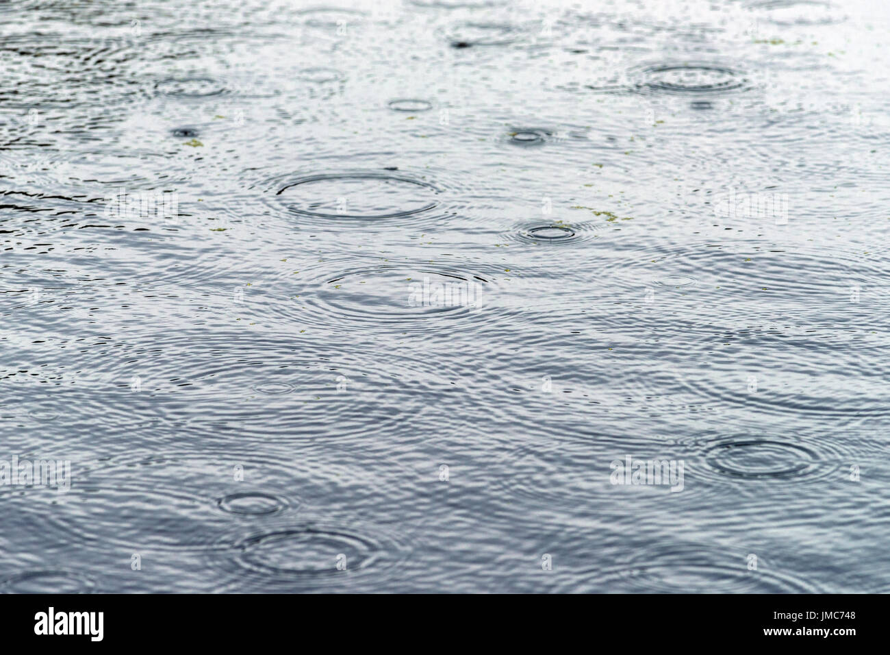 Wetdrop hi-res stock photography and images - Alamy