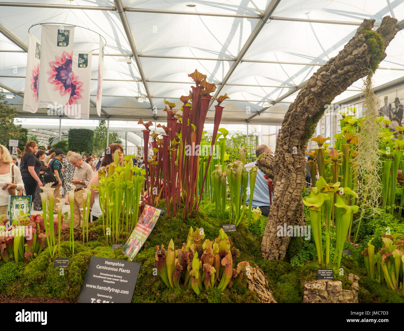 Carnivorous plant display hi-res stock photography and images - Alamy