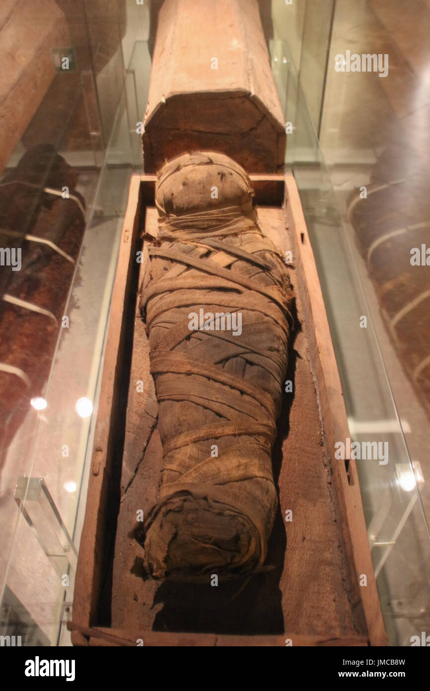 Child mummy museum hi-res stock photography and images - Alamy