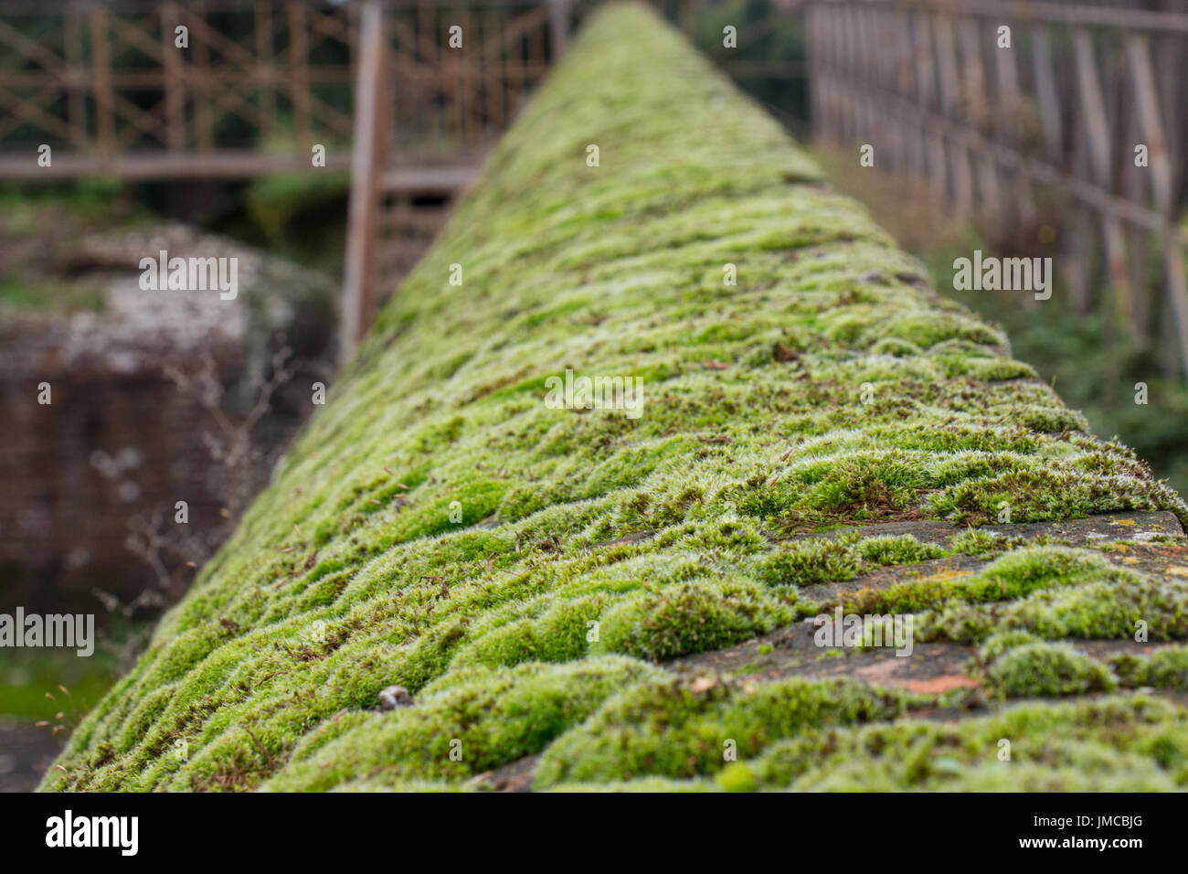 The view of a green moss covering an ancient wall Stock Photo - Alamy