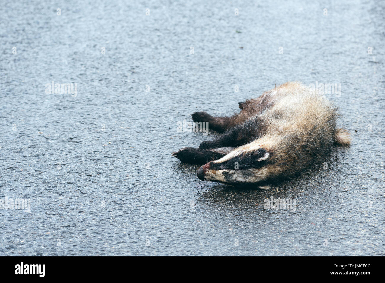 Roadway of the dead hi-res stock photography and images - Alamy