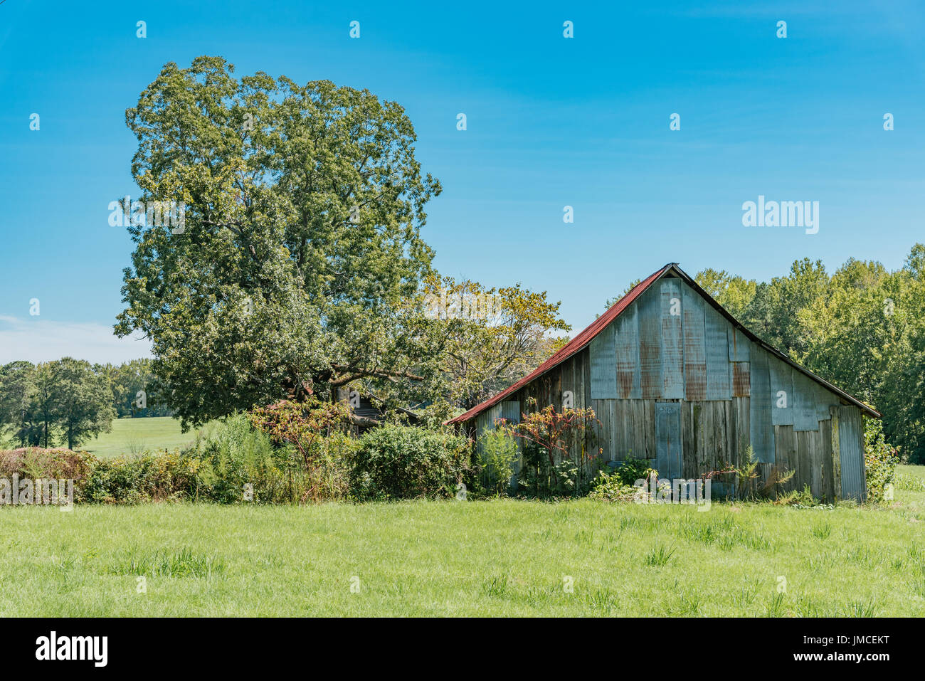 Old weathered barn, in Alabama, USA, with a red metal roof sitting in a ...