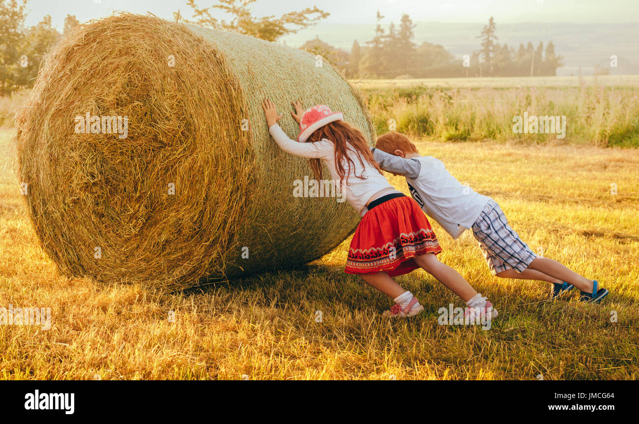 Children playing in the field with a hay bail Stock Photo - Alamy