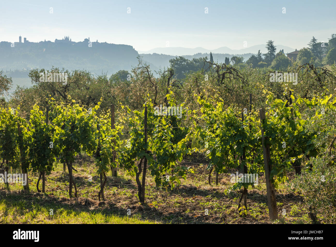 Historical vineyard hi-res stock photography and images - Alamy