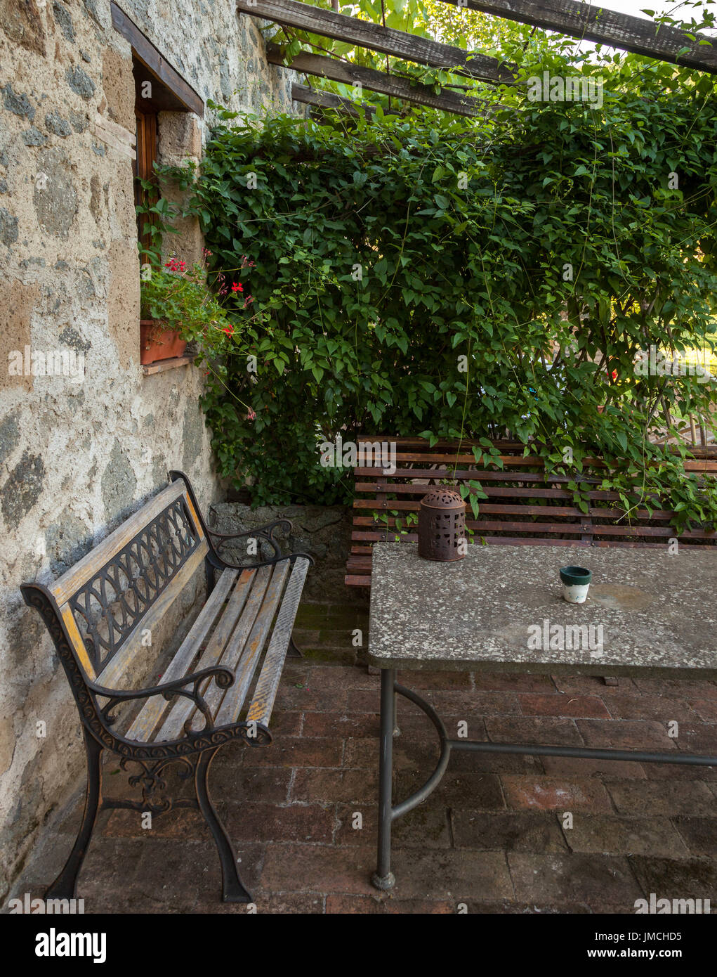 the sun and summer on a small Italian farm with vineyards in Umbria ...