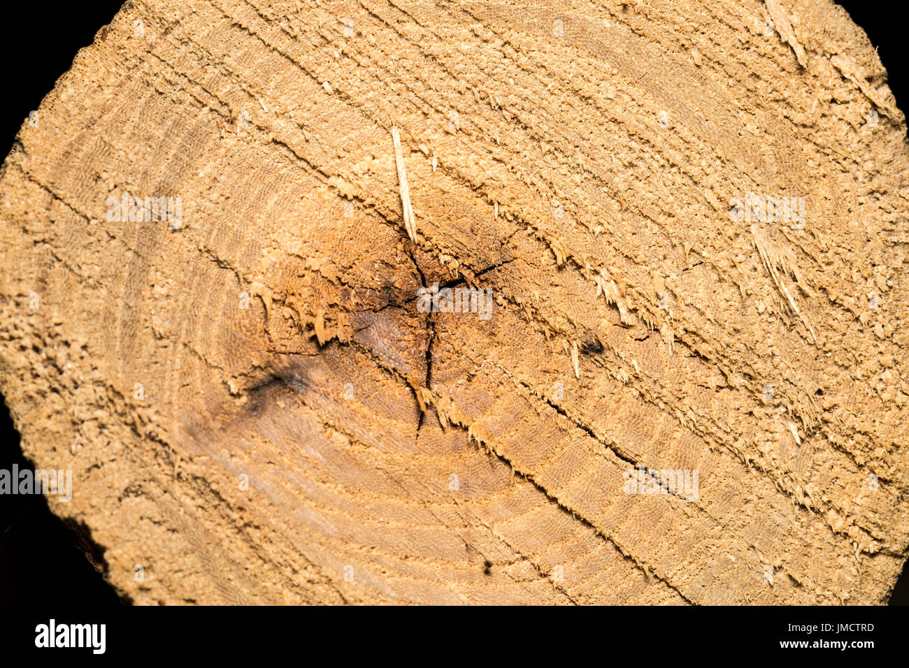 Cut marks hi-res stock photography and images - Alamy