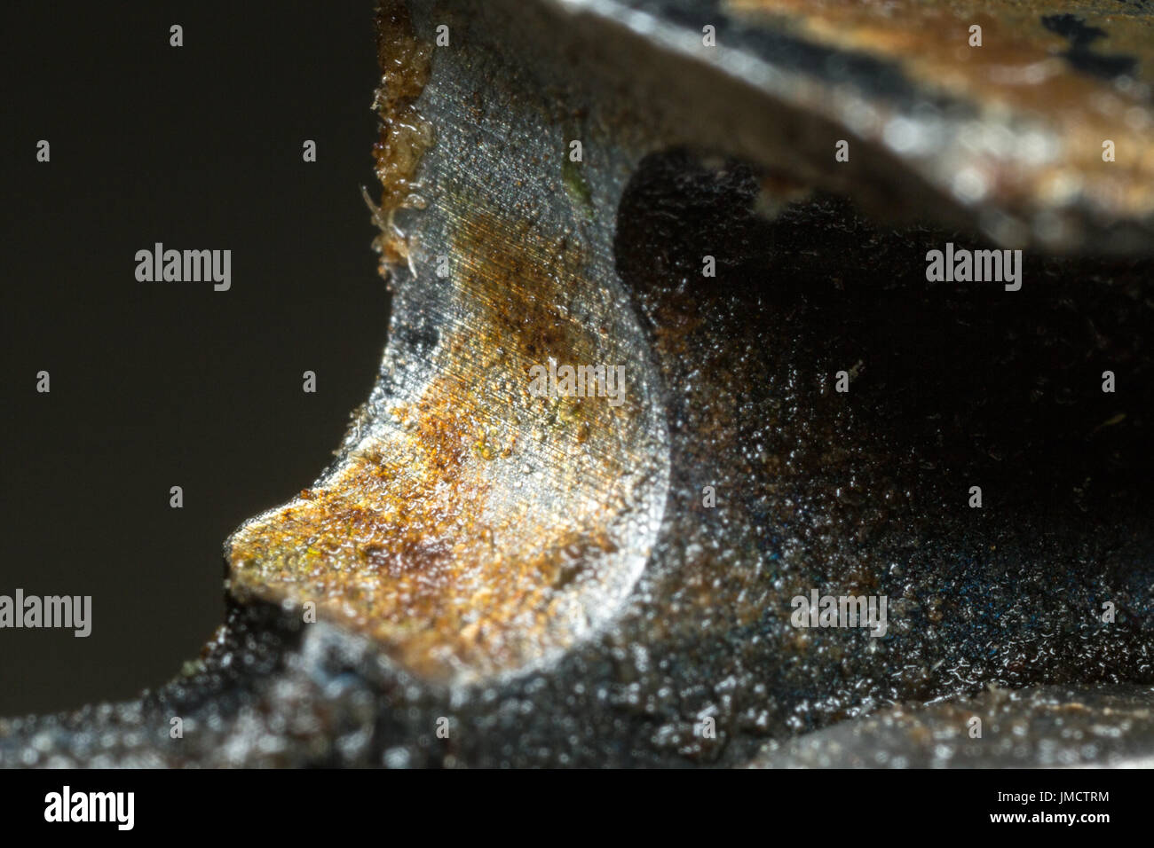 Macro shot of chainsaw tooth Stock Photo - Alamy