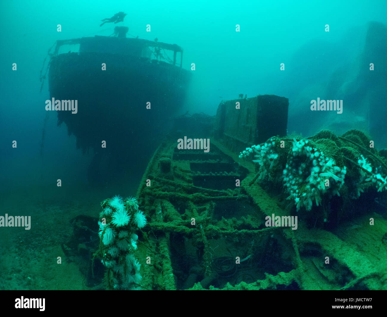 Wreck Diving in Bergen, Norway Stock Photo - Alamy