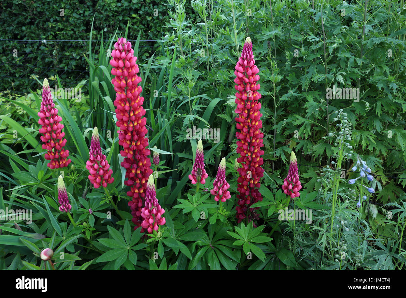 Kincardine Oneil High Resolution Stock Photography and Images - Alamy