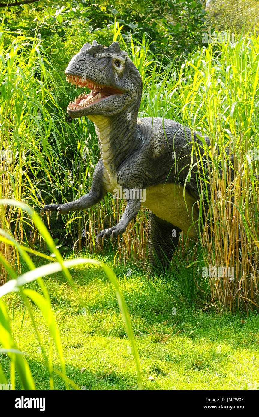 Allosaurus model hi-res stock photography and images - Alamy