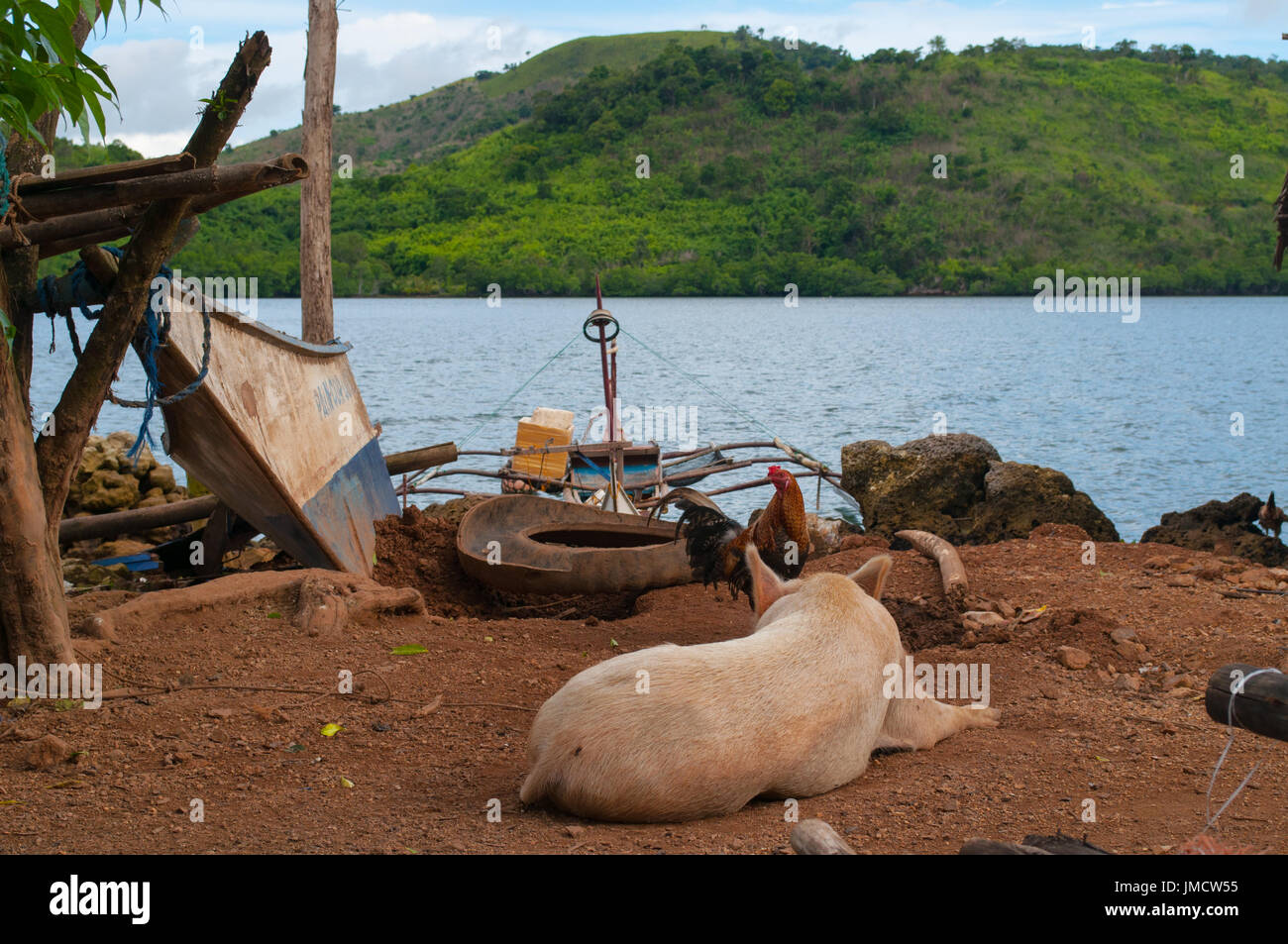 Muck diving, Lembeh Straits, Indonesia Stock Photo - Alamy