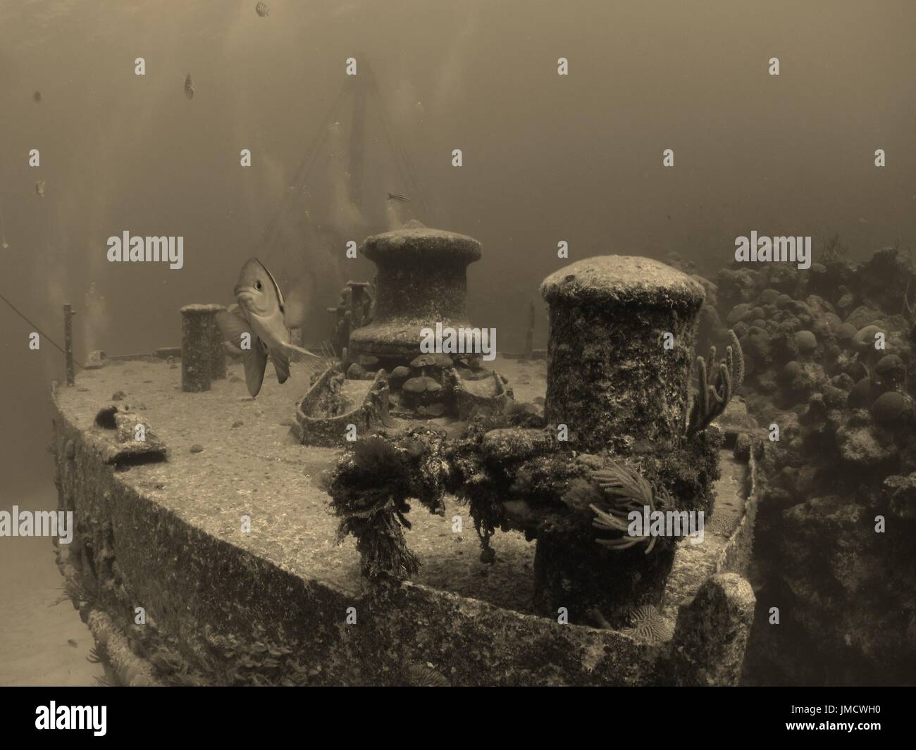 Bermuda triangle shipwreck hi-res stock photography and images - Alamy