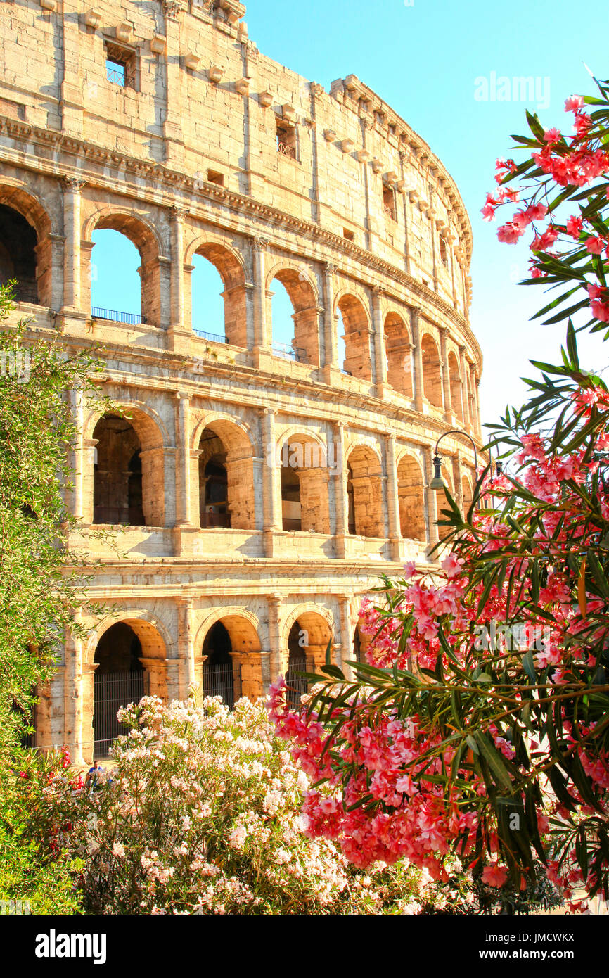 Roman colosseum flowers hi-res stock photography and images - Alamy