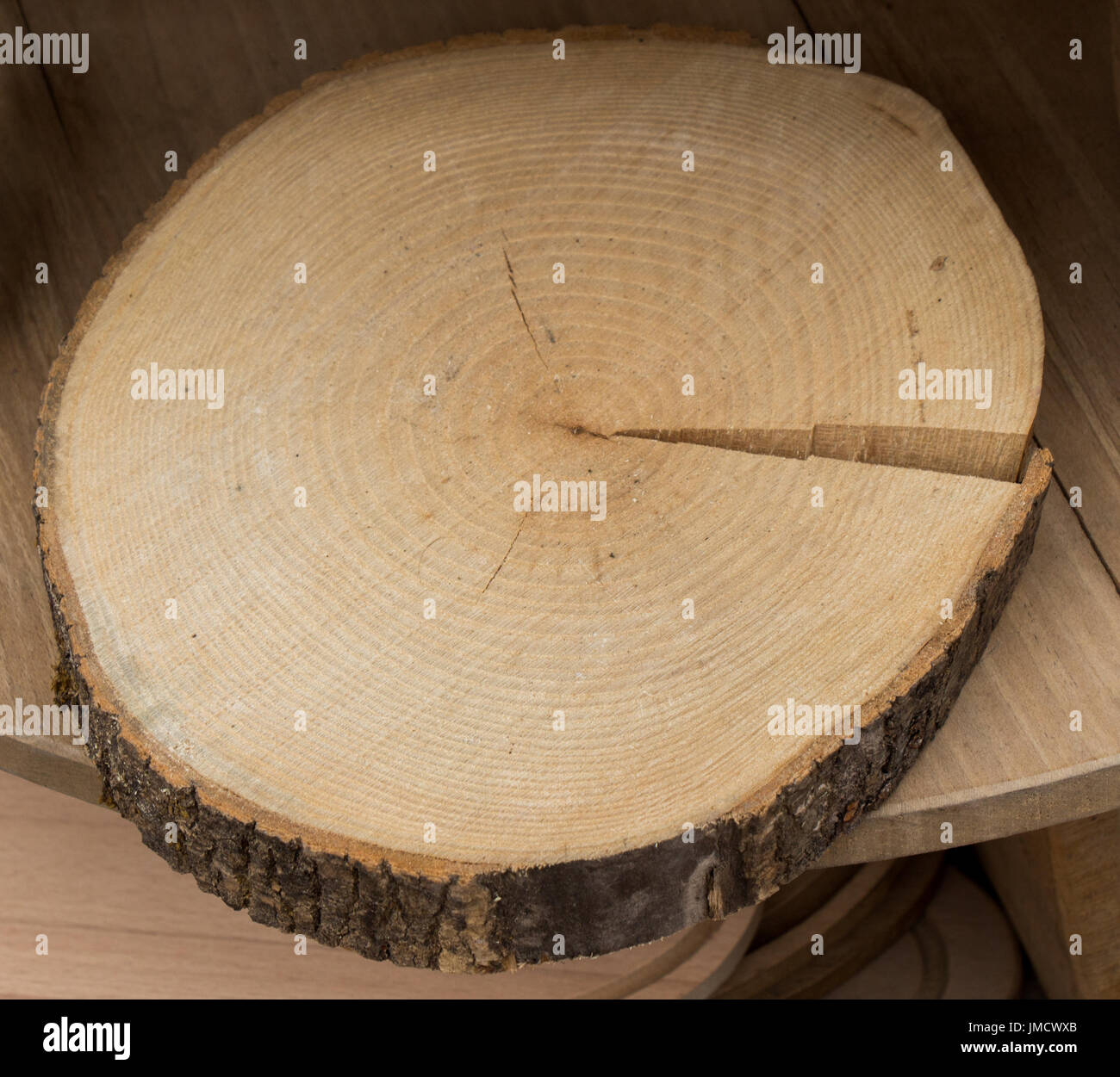 small piece of cut wood logs used for wood texture background Stock ...