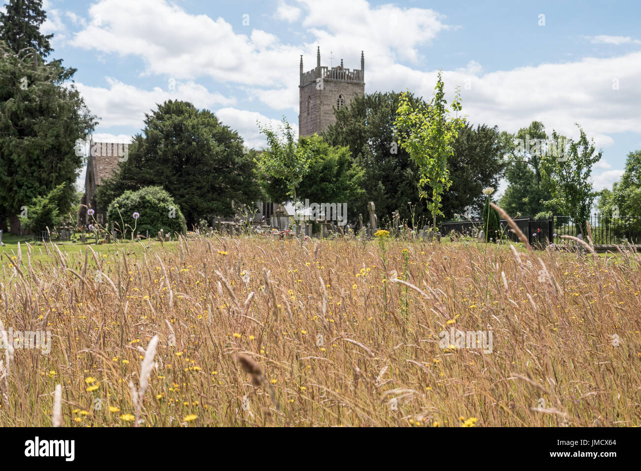 The Church of St Mary the Virgin, Frampton on Severn, Gloucestershire ...