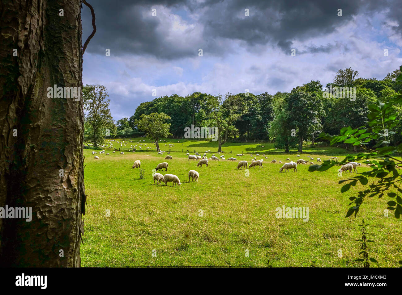 Ringinglow sheffield hi-res stock photography and images - Alamy
