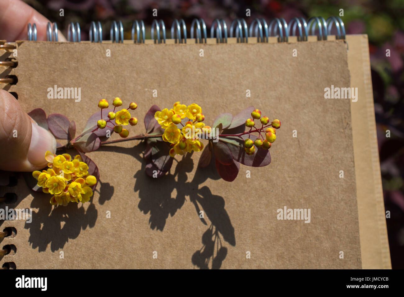 Colorful wild spring flowers in on a spiral a notebook Stock Photo - Alamy