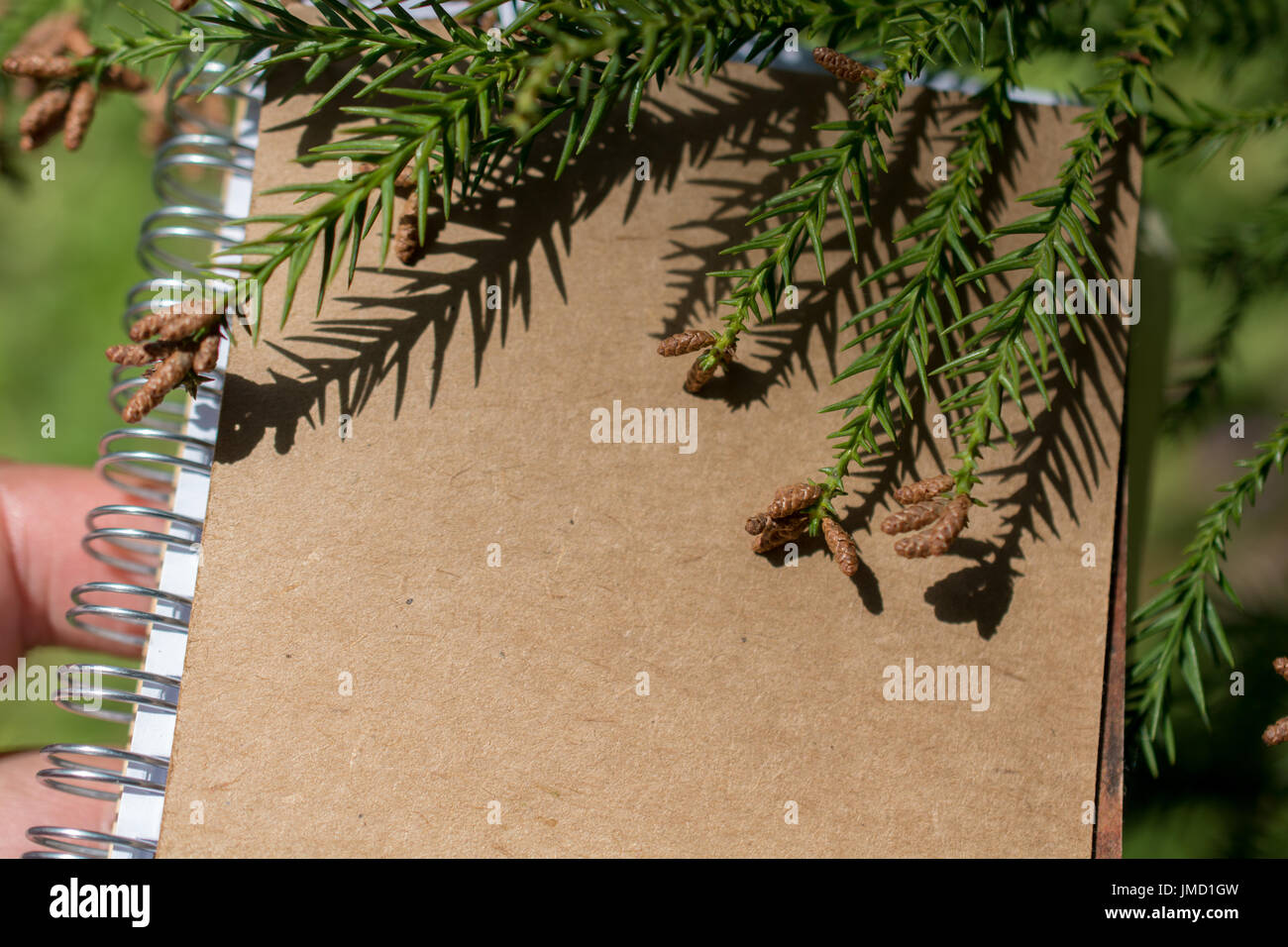 Leaves in hand over a notebook page Stock Photo - Alamy
