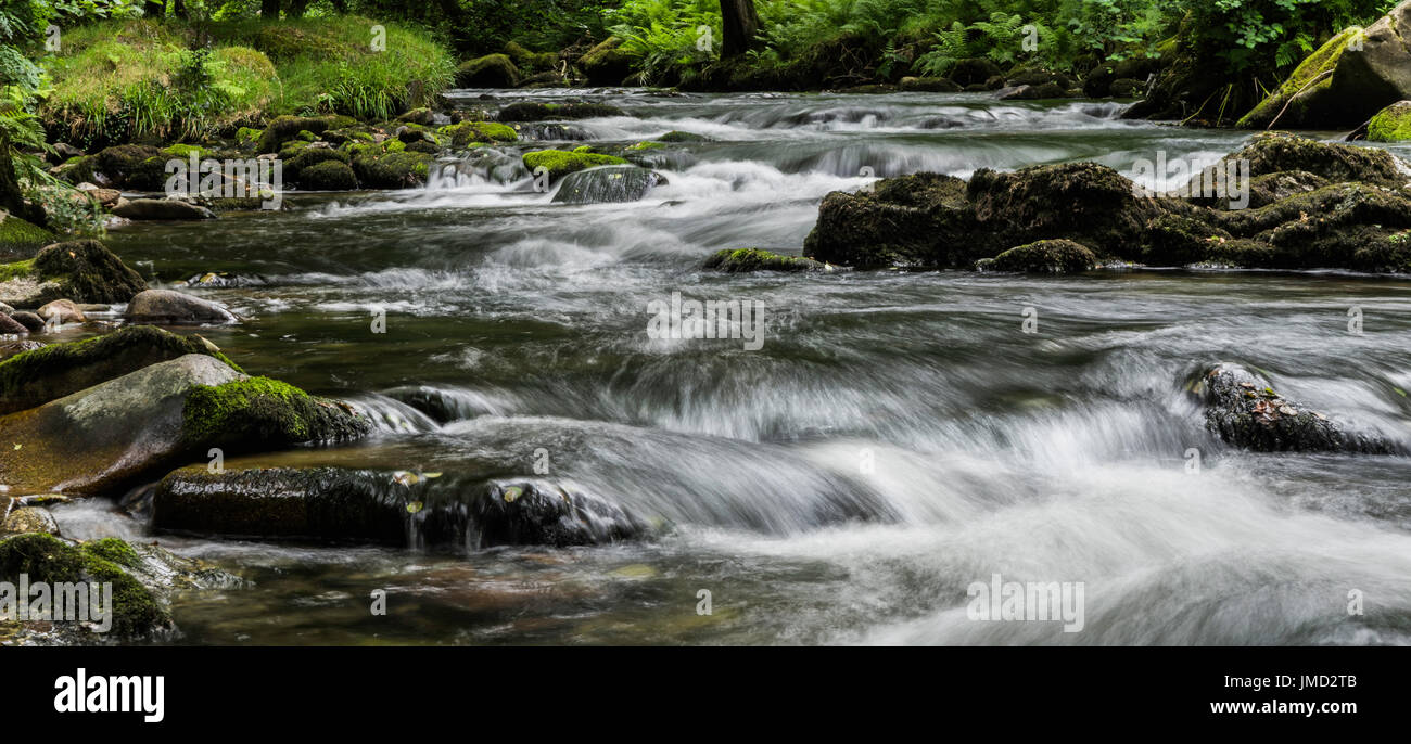 Dartmoor river hi-res stock photography and images - Alamy