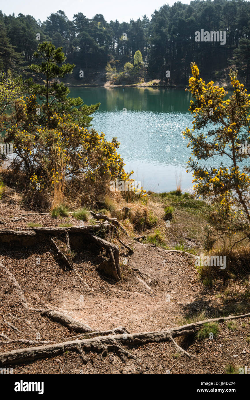Beautiful landscape image of old clay pit quarry lake with unusual ...