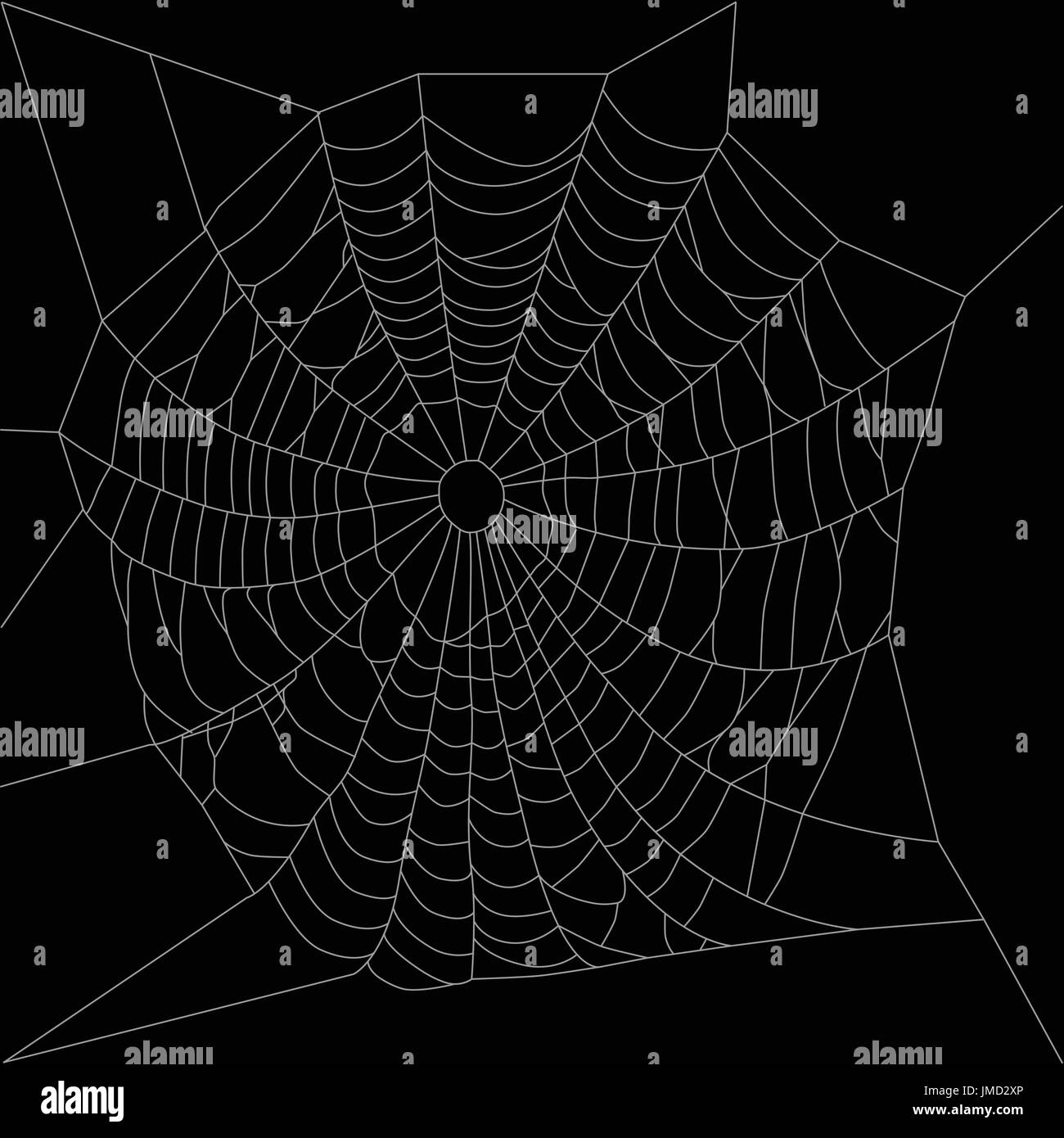 Vector illustration white spider web, net on black background ...