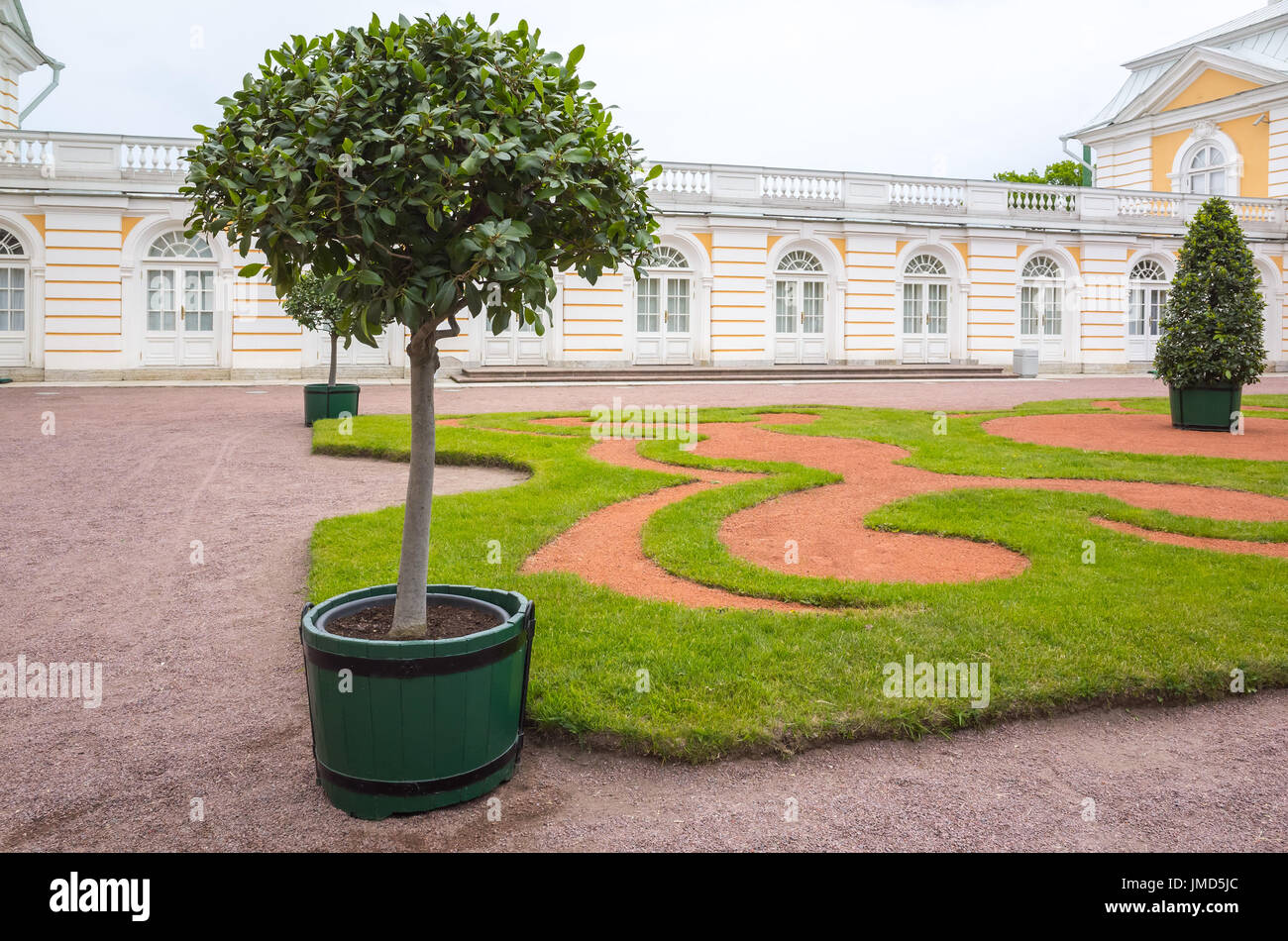 Decorative tree grows in pot. European park decoration Stock Photo - Alamy