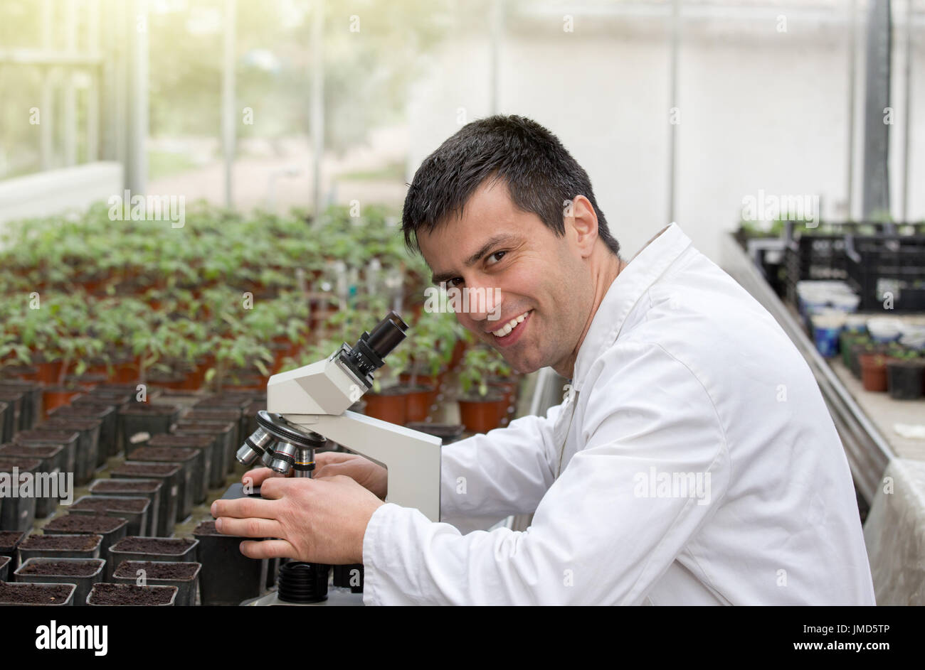 Microscope looking bacteria hi-res stock photography and images - Alamy