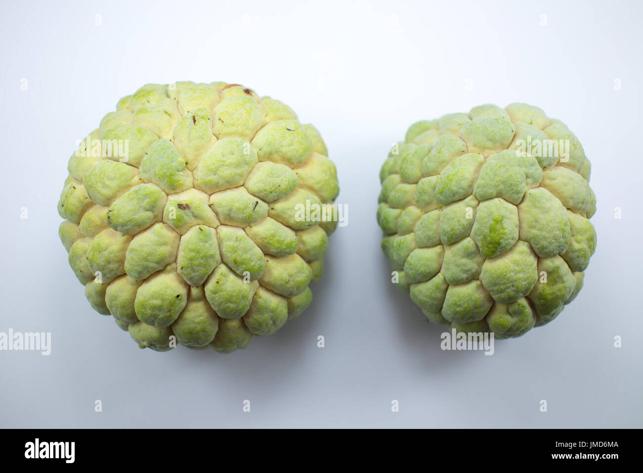 Close up of custard apple friut isolated on white background Stock ...