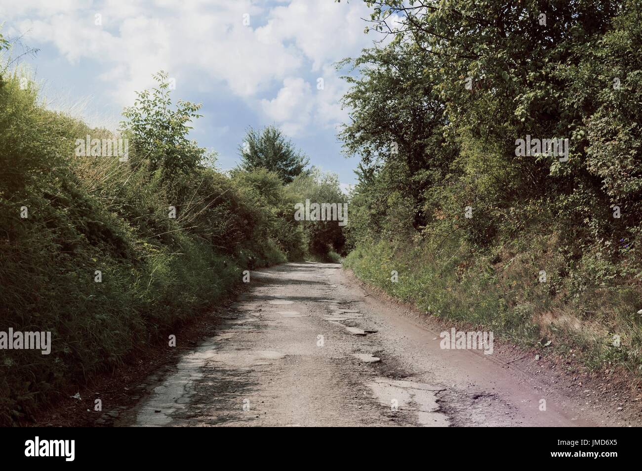 a natural tunnel on the village pathway Stock Photo - Alamy