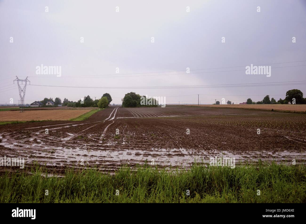 Agricultural disaster hi-res stock photography and images - Alamy