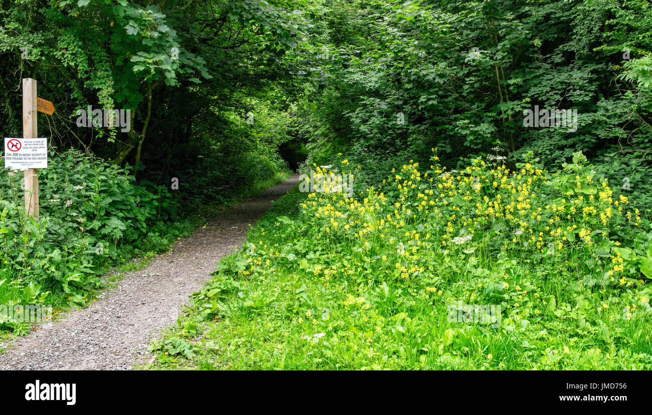 Neville lodge hi-res stock photography and images - Alamy