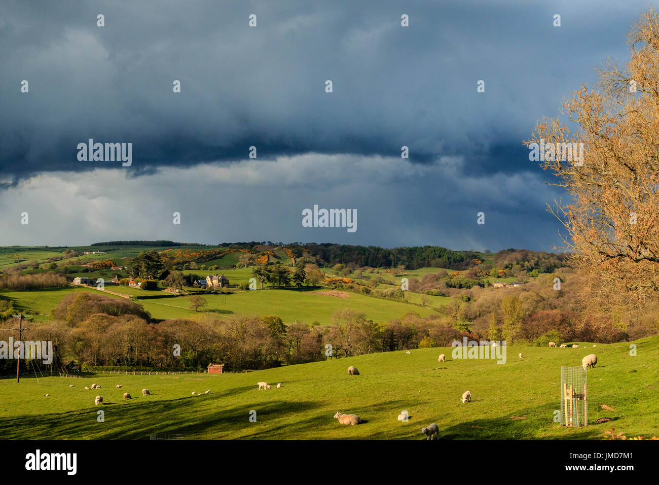 North yorkshire moorland landscape hi-res stock photography and images ...