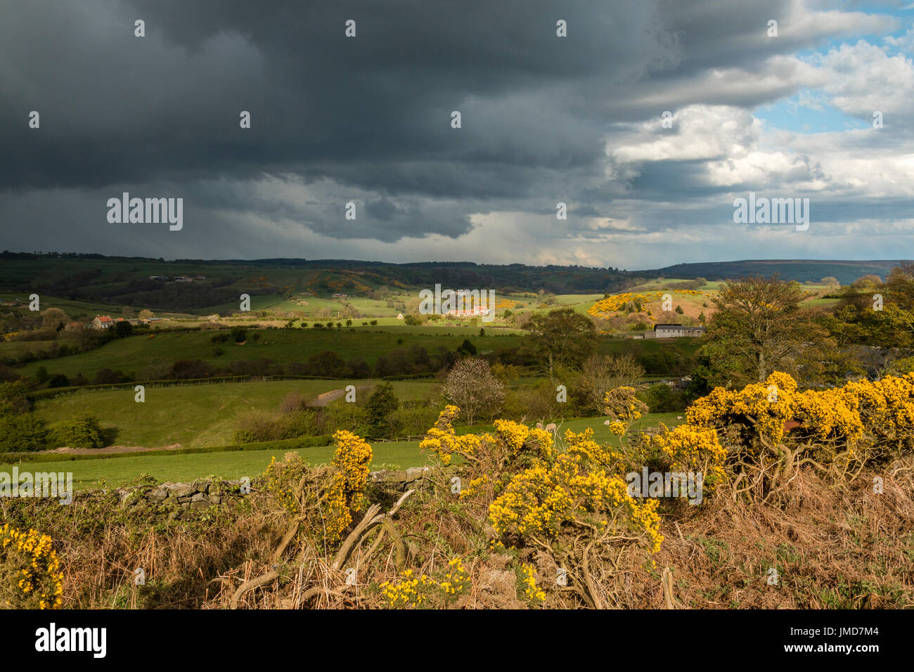 North yorkshire moorland landscape hi-res stock photography and images ...