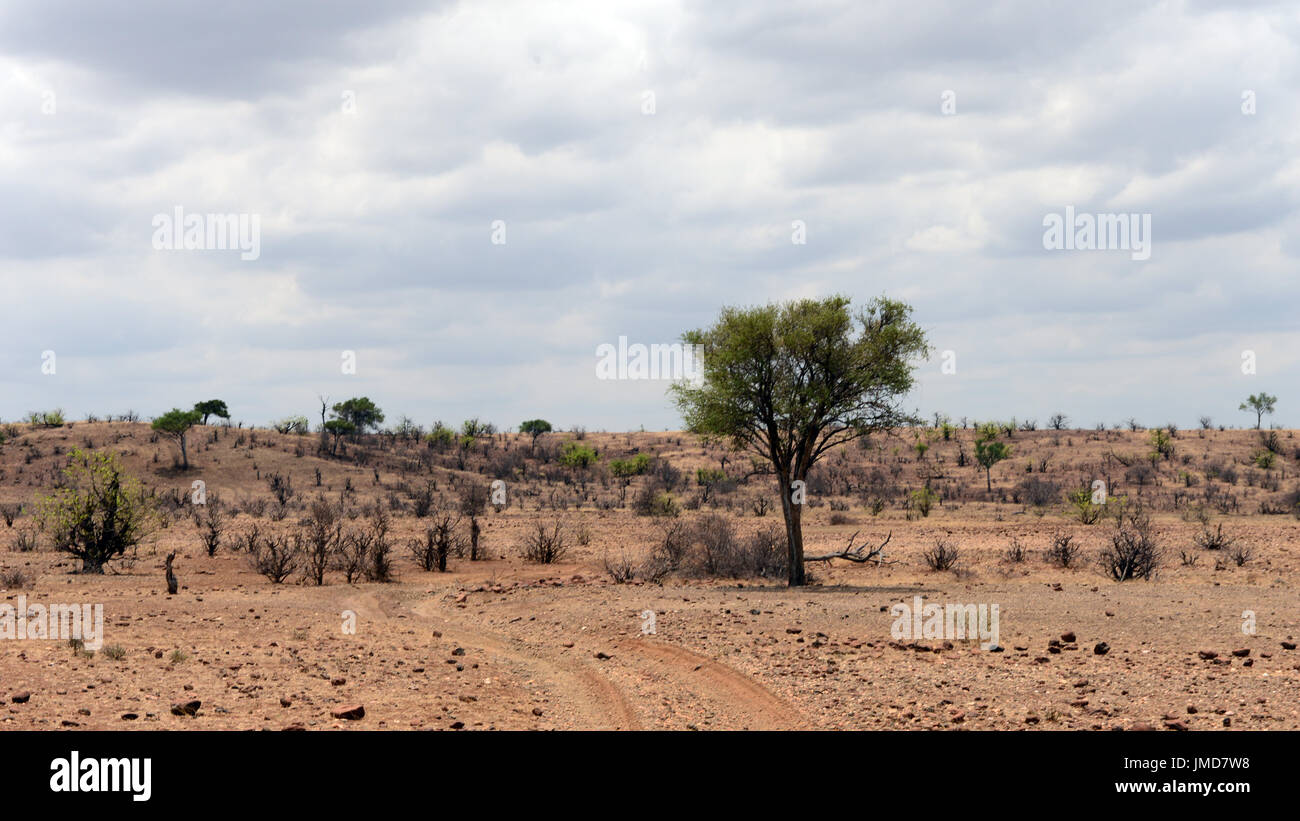 Mashatu Game Reserve Stock Photo - Alamy