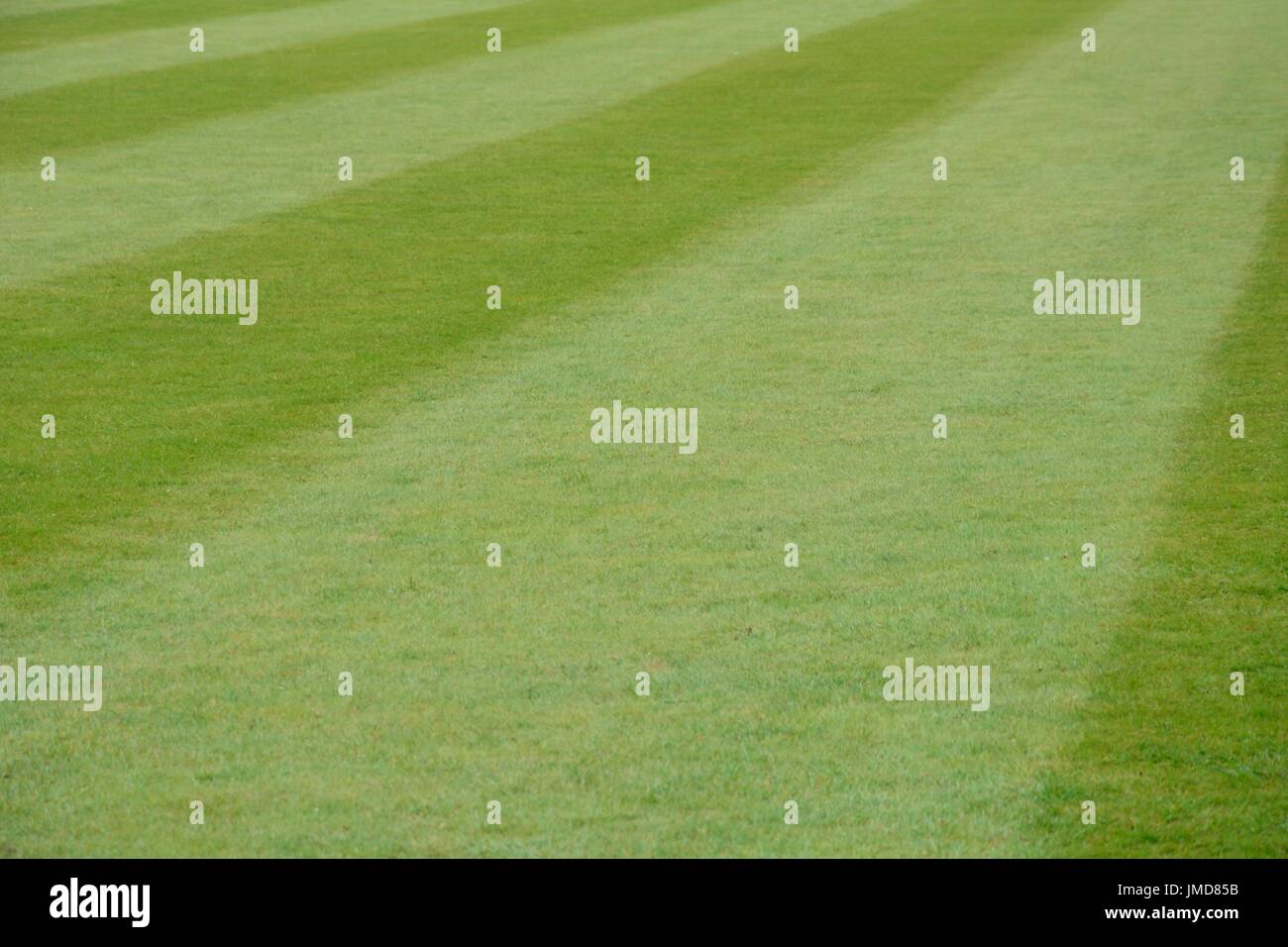 Immaculate Mowed Lawn Stock Photo - Alamy