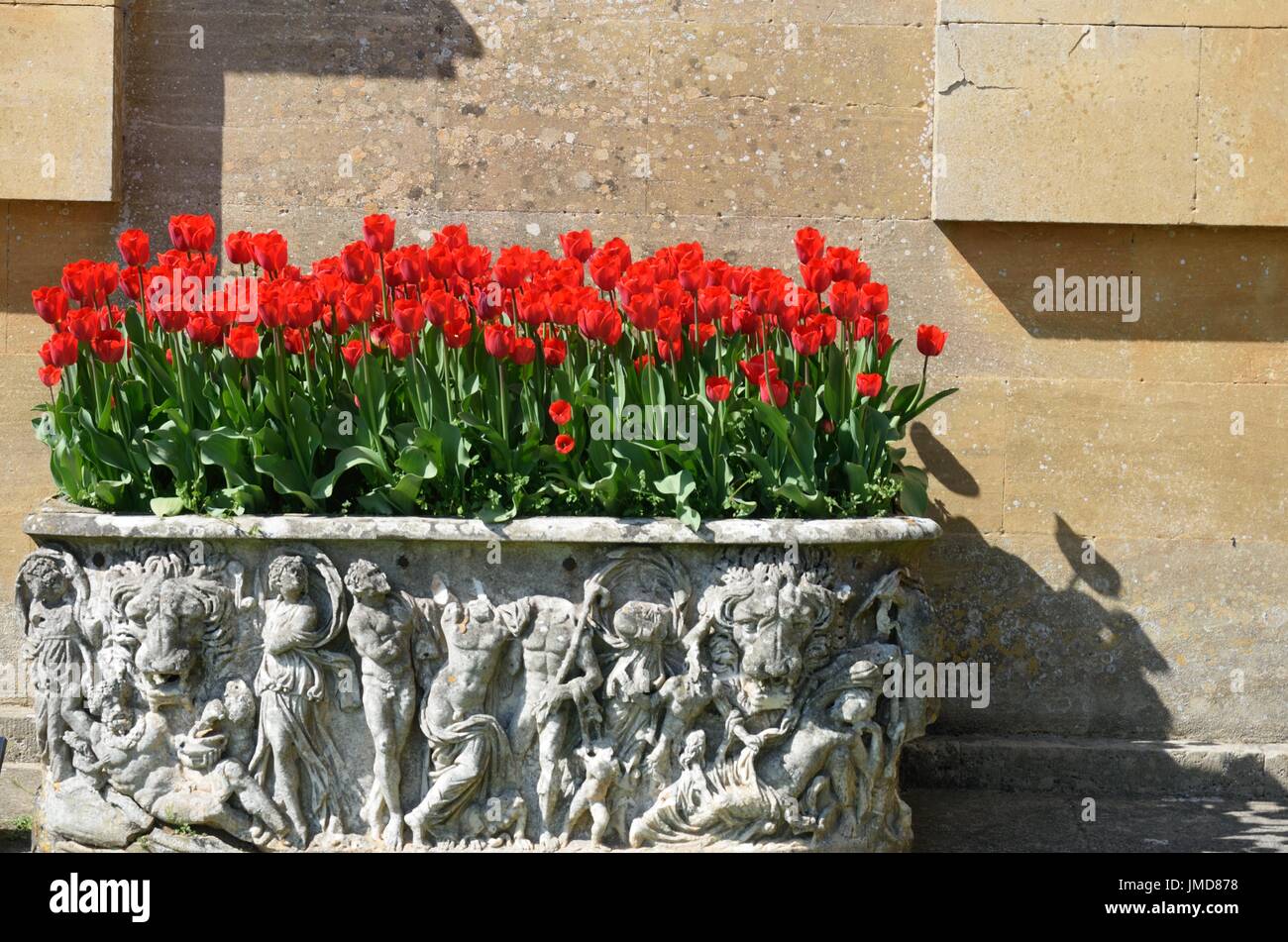 Large patio planter hi-res stock photography and images - Alamy