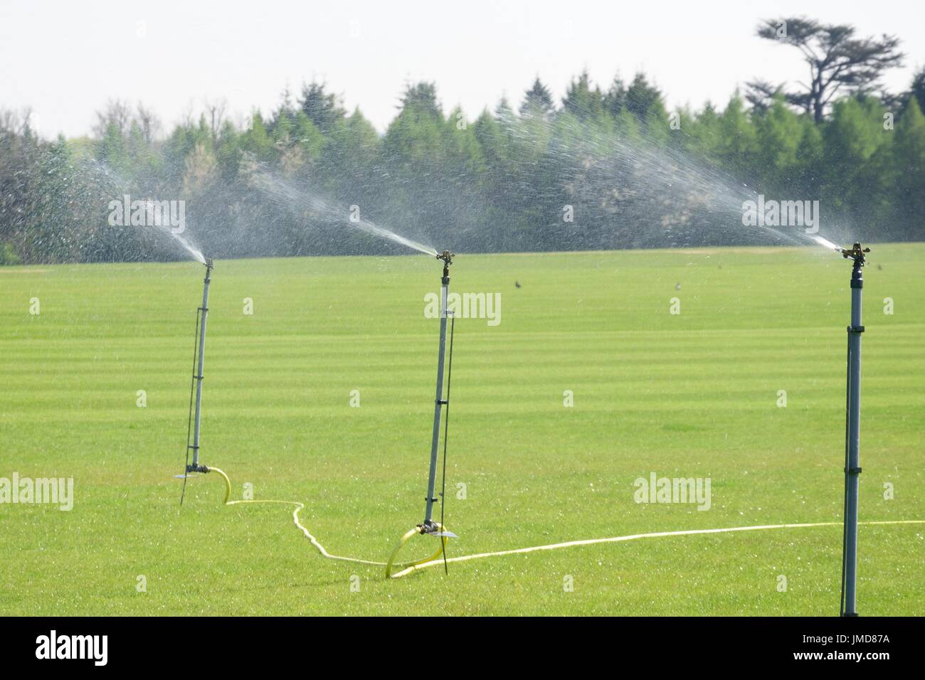 Irrigation taps spraying over lawn Stock Photo - Alamy