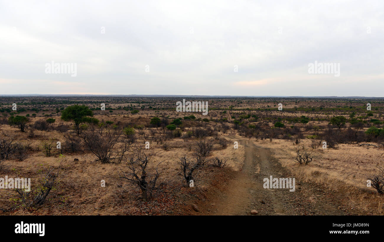 Mashatu Game Reserve Stock Photo - Alamy