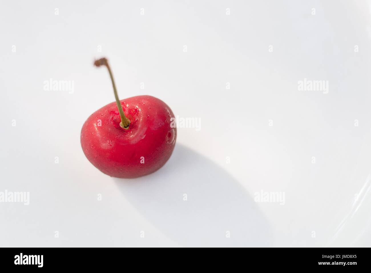 Front view of a single stemmed cherry on a pure white background Stock ...