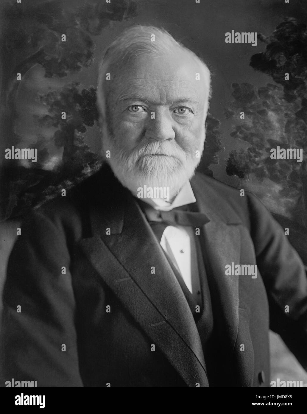 Andrew Carnegie, Portrait, Harris & Ewing, 1910 Stock Photo - Alamy