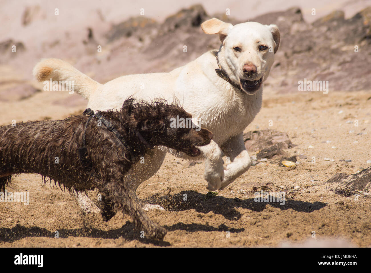 Best mates hi-res stock photography and images - Alamy