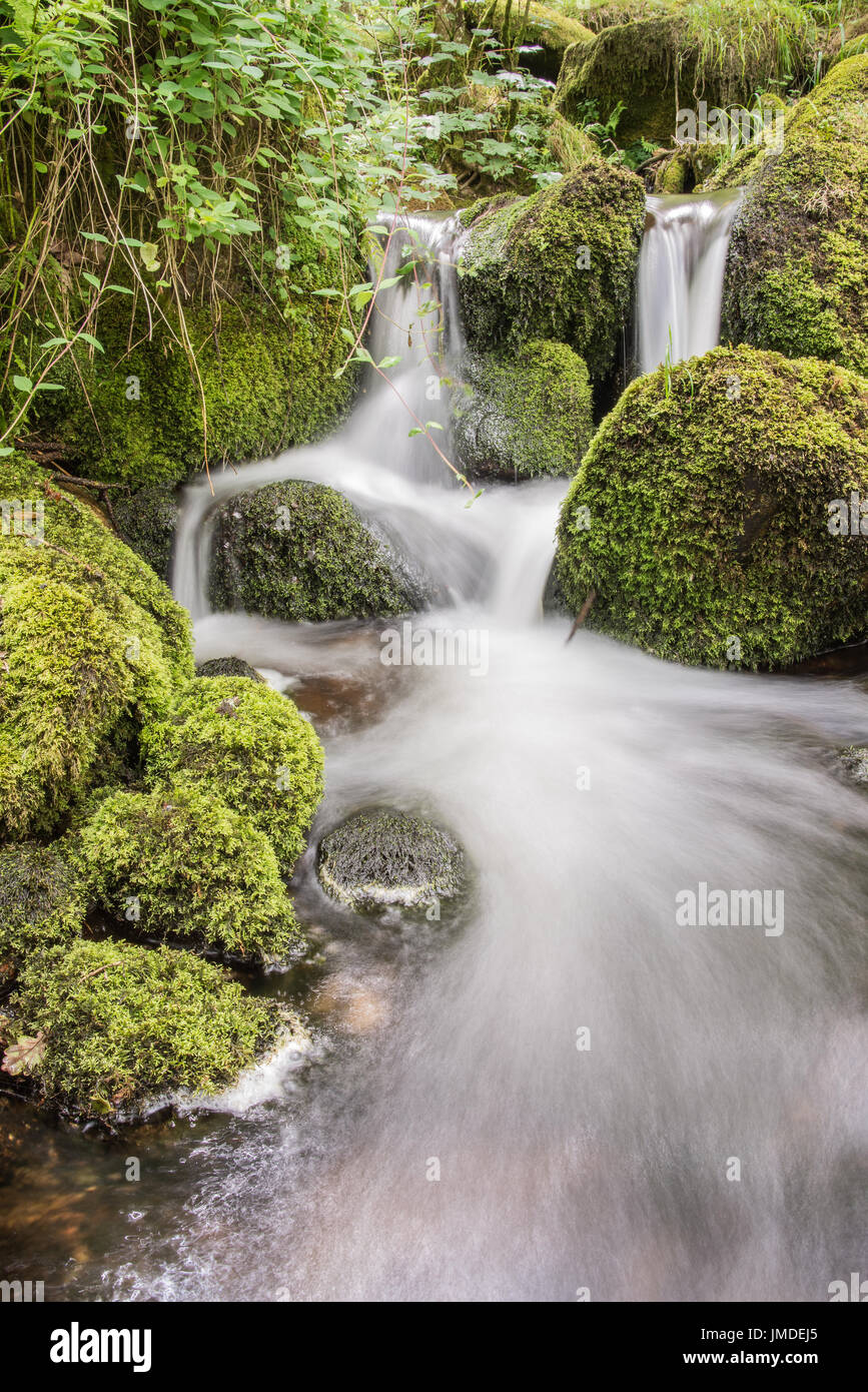 Dartmoor water hi-res stock photography and images - Alamy